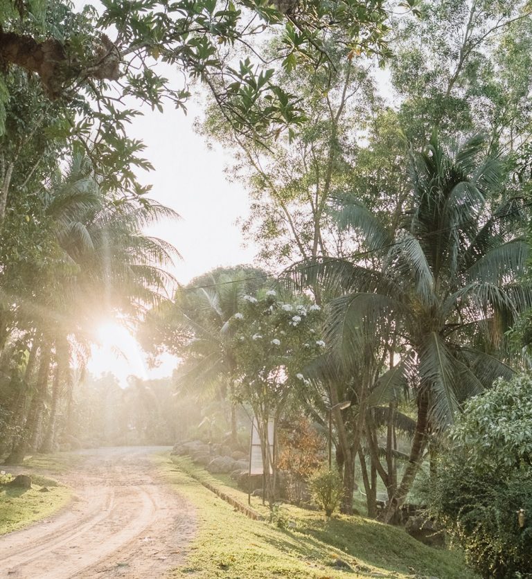 About us – Bantug Lake Ranch